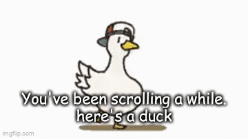 Happy duck dance - Imgflip