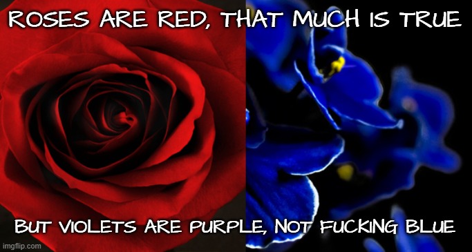 Roses are red - Imgflip