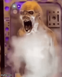 What’s the origin of this gif - Imgflip