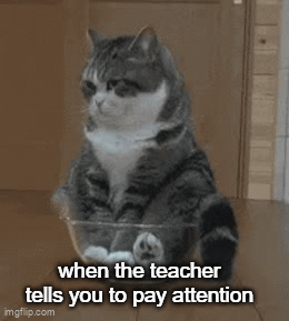 outt-of-cashcat - Imgflip