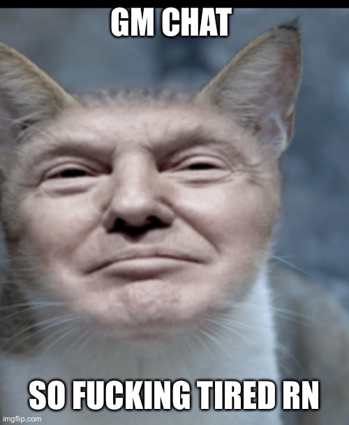 Donald trump cat - Imgflip