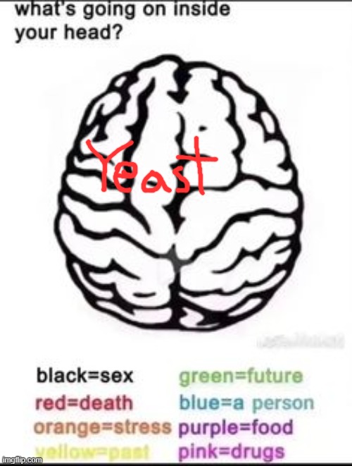 What's going on inside your head? - Imgflip