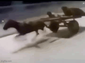 me running from a fur con after setting off a thermonuclear bomb - Imgflip