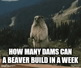 Dam builder - Imgflip