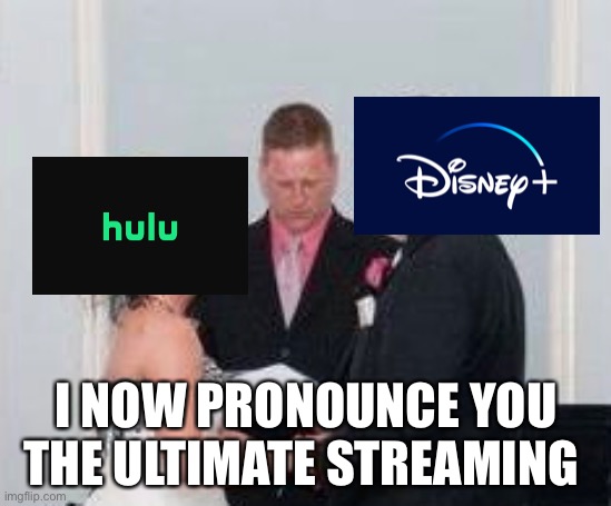 Hulul and Disney+ got married and are now Disney Bundle - Imgflip