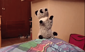 Cat vs stuffed animal - Imgflip