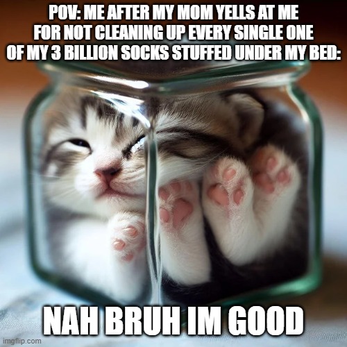 Bonsai kitten - Imgflip