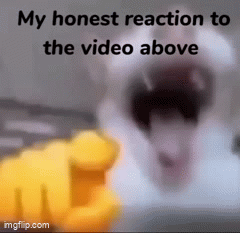 Image tagged in gifs,shitpost,msmg,oh wow are you actually reading these tags - Imgflip