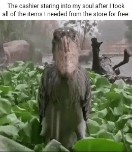 Free items - Imgflip