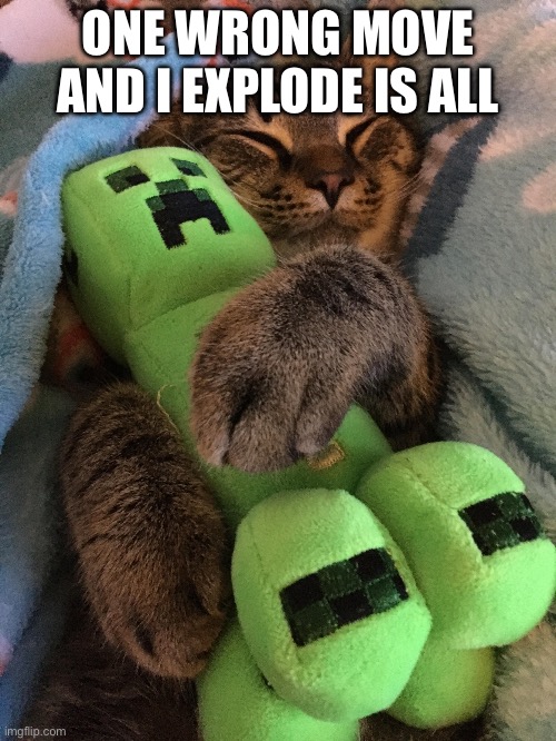 Cat hugging creeper - Imgflip