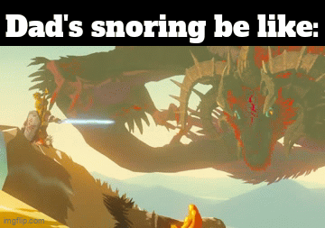 Dad's snoring = Number 1 the loudest sound - Imgflip