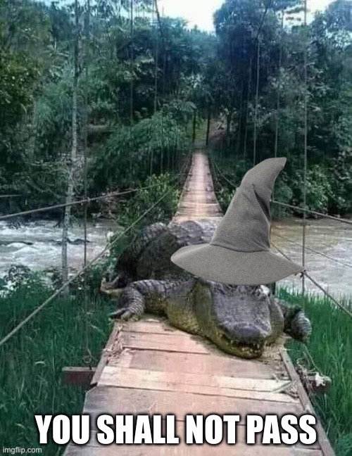 You shall not pass - Imgflip