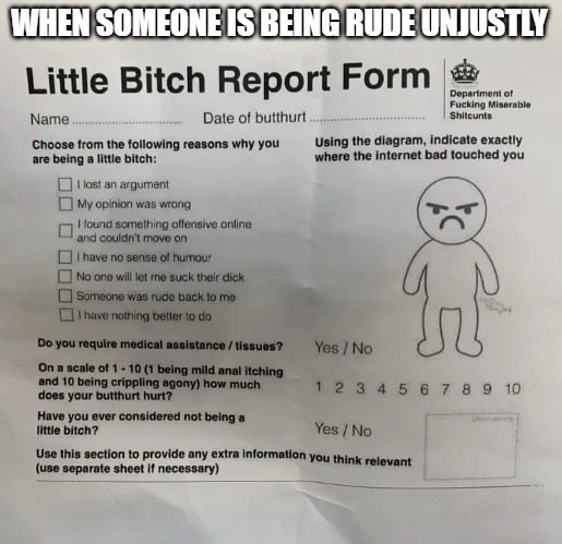 When someone is being rude unjustly - Imgflip