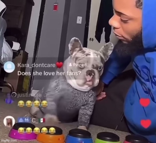 vikboi temp simple - Imgflip