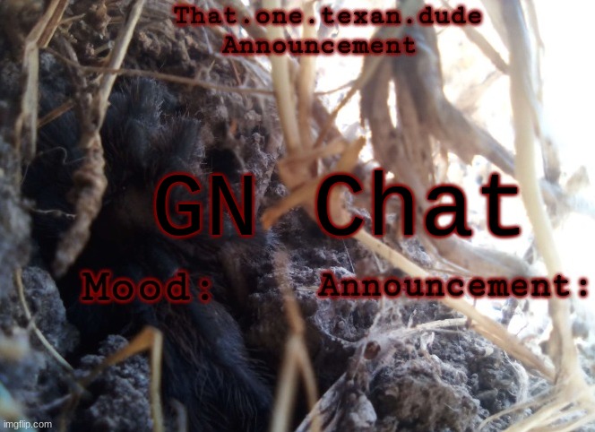 That.one.texan.dude.announcement - Imgflip