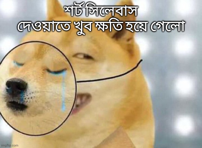 Doge Fake Crying - Imgflip