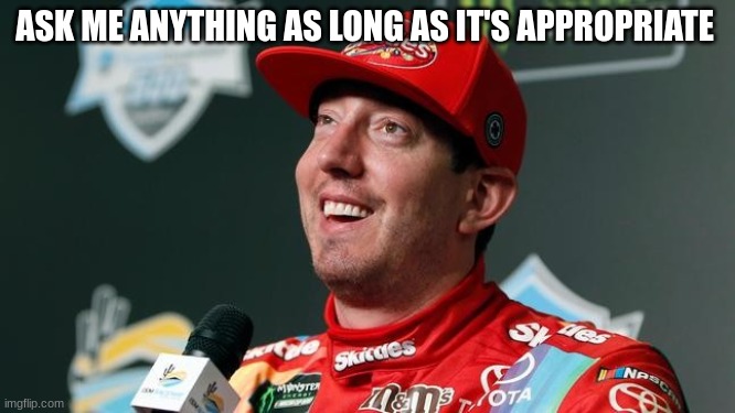 Image tagged in kyle busch - Imgflip