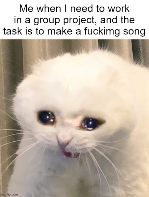screaming crying cat - Imgflip