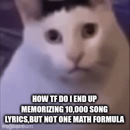 my memory is . . . questionable - Imgflip