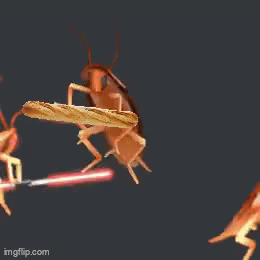 Angry cockroach with a baguette - Imgflip