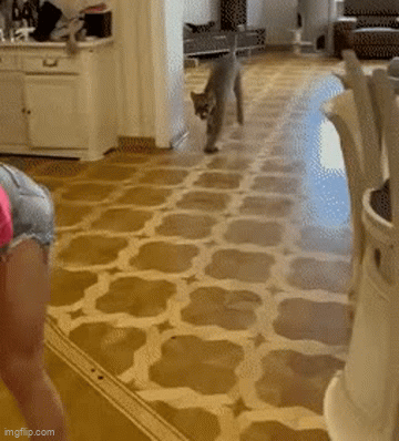 Slippy Slidey Floor Fun ! - Imgflip