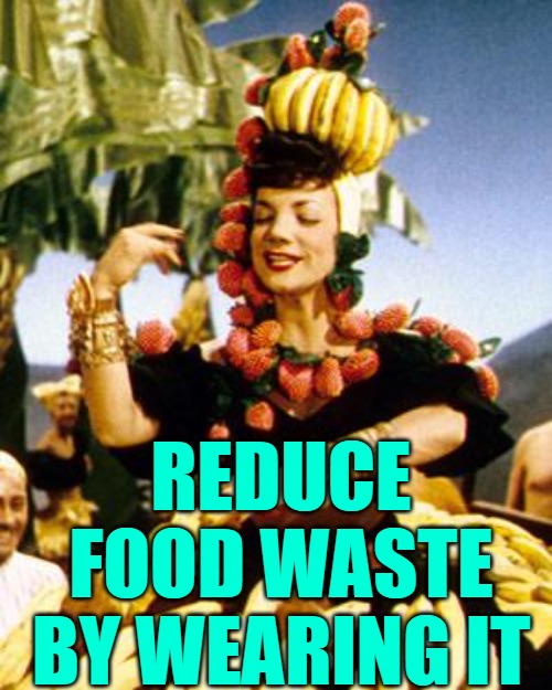 How to Reduce Food Waste: Wear It! - Imgflip