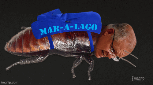 Animated GIF - Imgflip