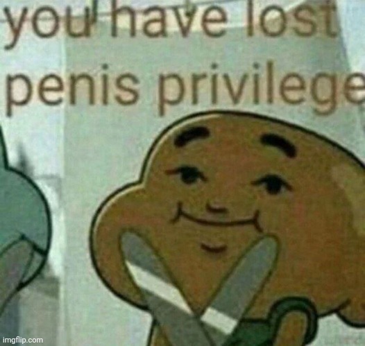 You have lost your penis privileges - Imgflip