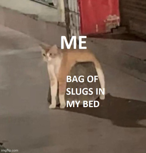 Slug smuggler - Imgflip