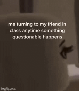 Animated GIF - Imgflip