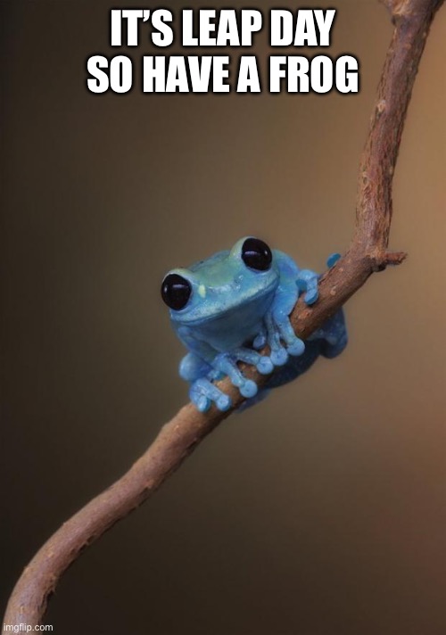 bda neko arc - Imgflip