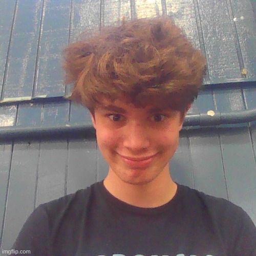 Pov: the chips im eating rn - Imgflip