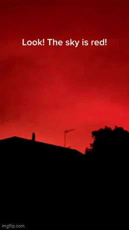 Animated GIF - Imgflip