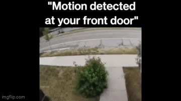 Animated GIF - Imgflip