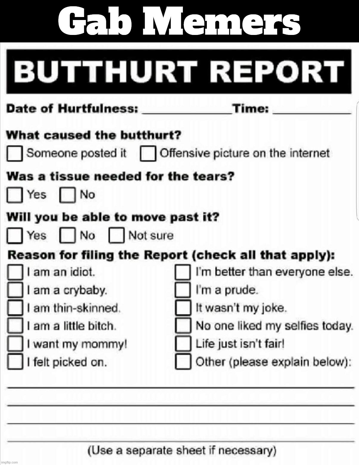 Gab Memers Butthurt Report - Imgflip