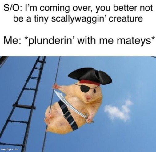 okay, i'm done pirateposting fer now - Imgflip