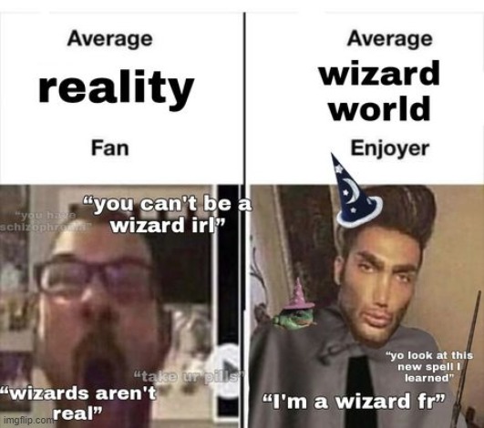 if i can't be a pirate, then WIZARDS IT IS - Imgflip