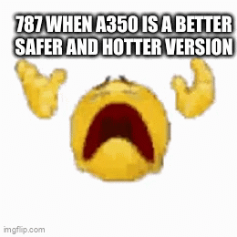 787 is sad today - Imgflip