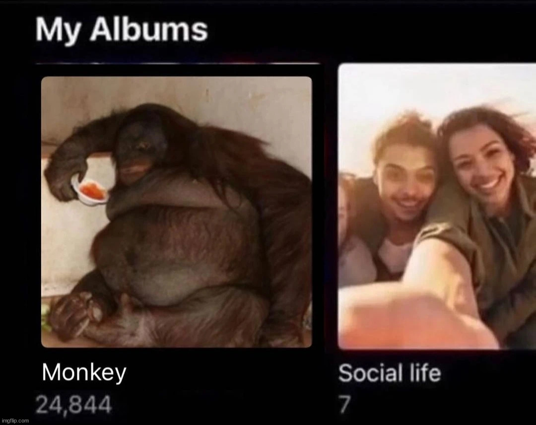 Both albums monkey - Imgflip