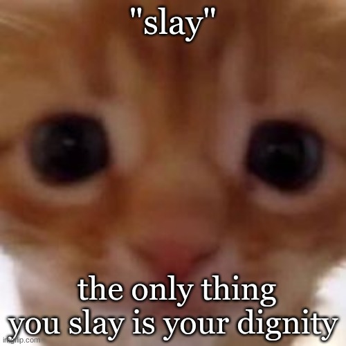 me waiting for someone to say slay so i can use a phrase i came up with ...