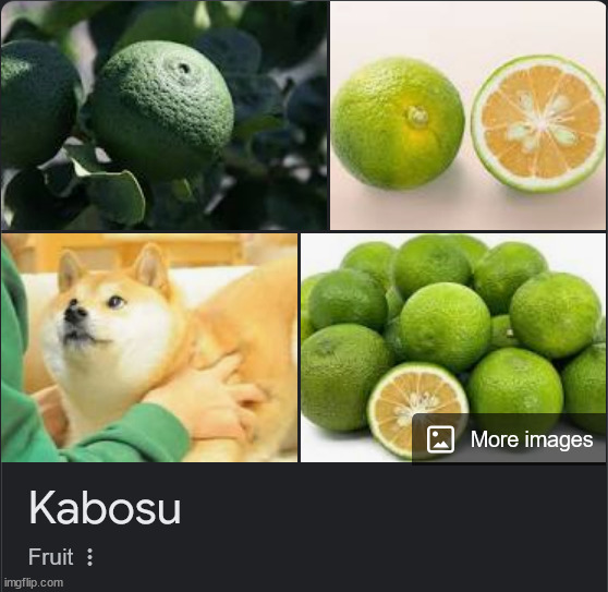 Green orange - Imgflip