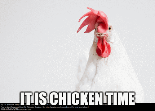 it is chicken time - Imgflip