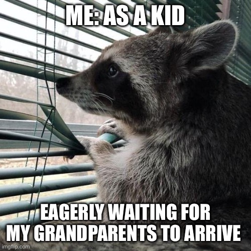 Waiting For Grandparents Imgflip Waiting For Grandparents Imgflip