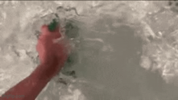 Animated GIF - Imgflip