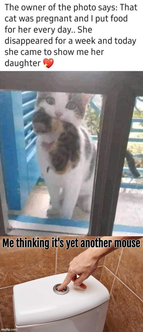 Image tagged in dark humor,nsfw,funny - Imgflip