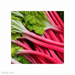 rhubarb cube - Imgflip