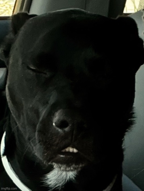 is bro good - Imgflip