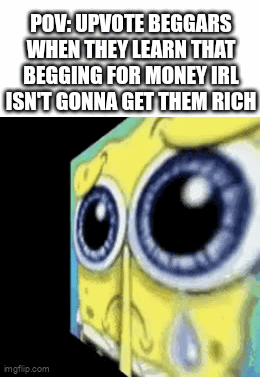 Average upvote beggar - Imgflip