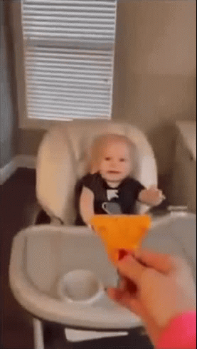 Image tagged in gifs,memes,funny - Imgflip