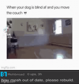 Og: https://imgflip.com/gif/8igmdd - Imgflip